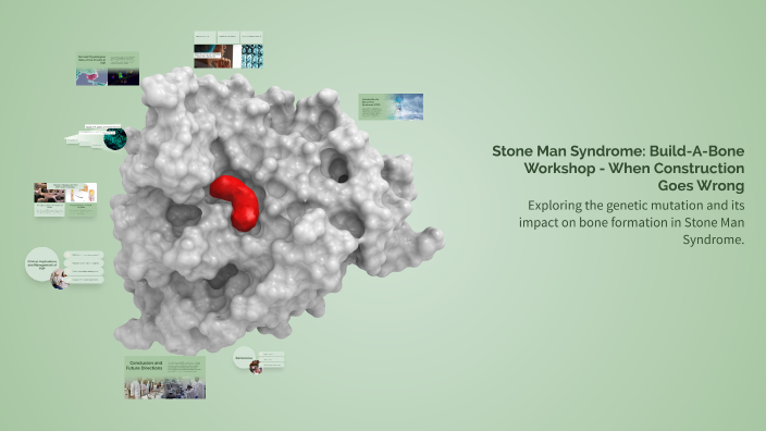 Stone Man Syndrome: Build-A-Bone Workshop - When Construction Goes ...