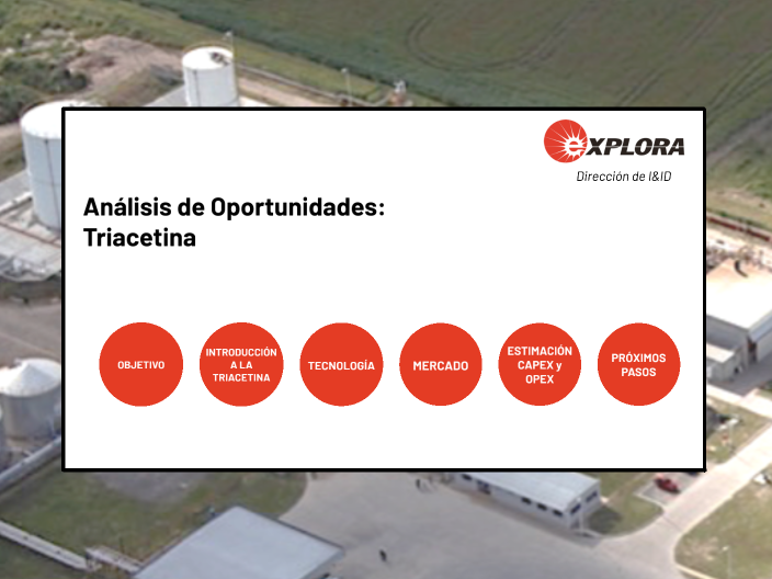 Presentación Triacetina Rev A by Luis Ignacio Segura on Prezi