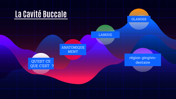La Cavité Buccale by Ryan Ferrandon on Prezi
