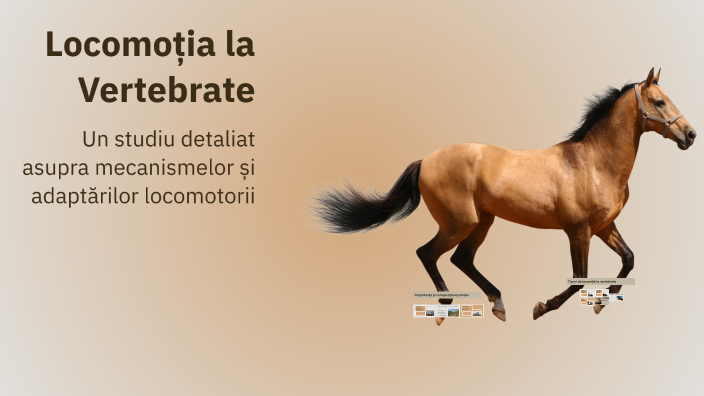 Locomoția la Vertebrate by elena sorescu on Prezi