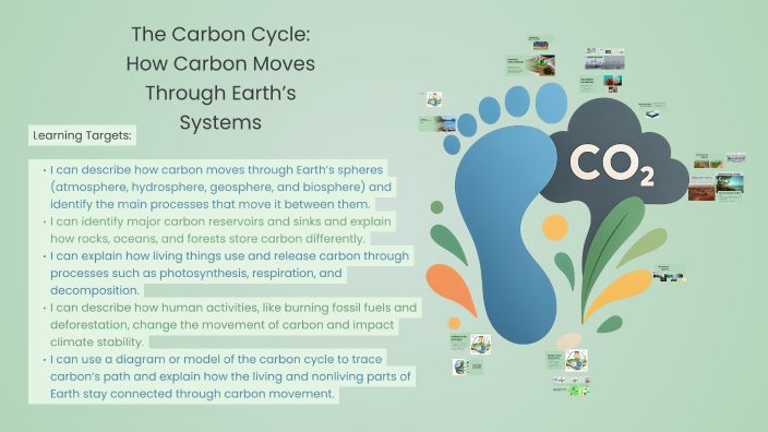 The Carbon Cycle: How Carbon Moves Through Earth’s Systems by Lisa ...