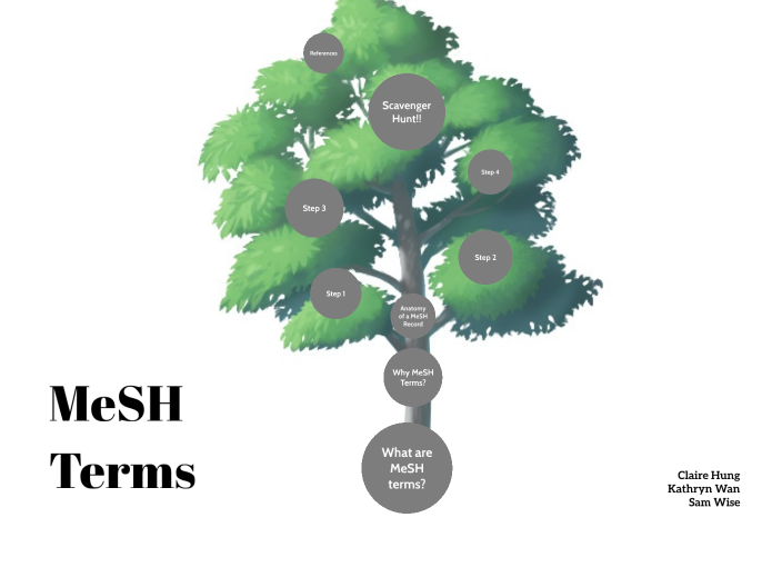 Phar 205 MeSH Terms by Claire Hung on Prezi
