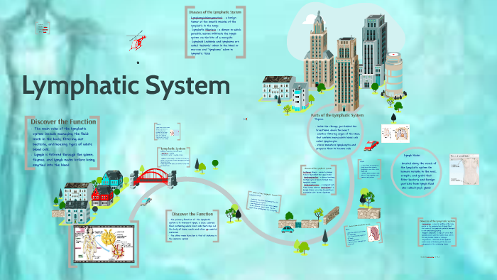 Lymphatic System by Michelle Atienza on Prezi
