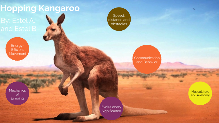 Hopping Kangaroo by Estel Boix on Prezi