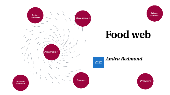 Food web by ANDRU REDMOND on Prezi