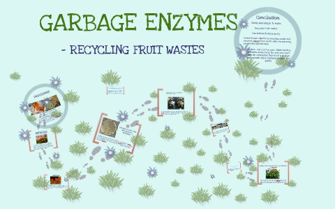 Garbage Enzymes by Rongy Lim on Prezi