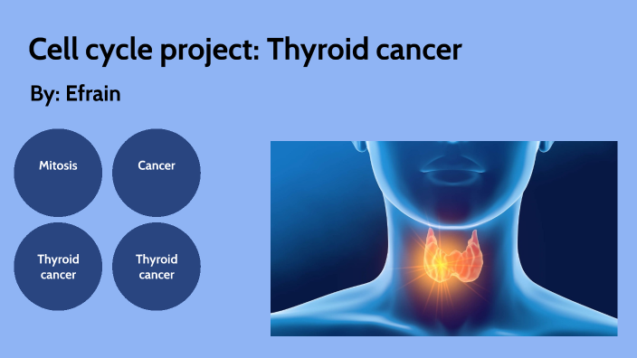 Cell cycle project by Efrain A on Prezi