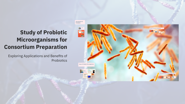 Study of Probiotic Microorganisms for Consortium Preparation by Nidhi Saxena on Prezi