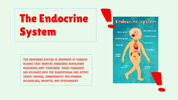 Understanding Type 1 Diabetes Mellitus: A CNA’s Approach to Patient ...
