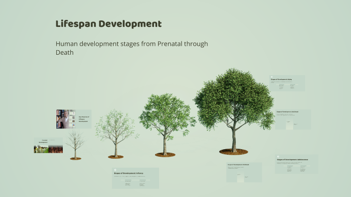 Understanding Lifespan Development by bella tirado on Prezi