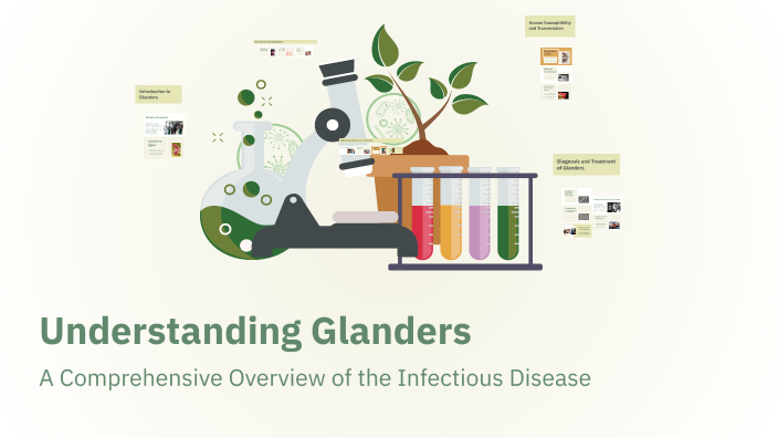 Understanding Glanders by Cassandra Duran on Prezi