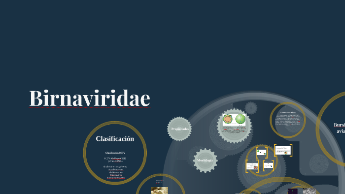 Birnaviridae by rnmr lpz on Prezi