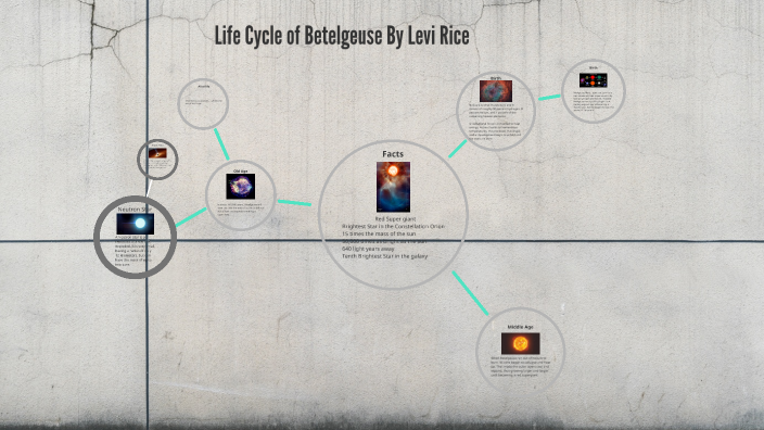 Life Cycle of Betelgeuse by Levi Rice by Levi Rice on Prezi