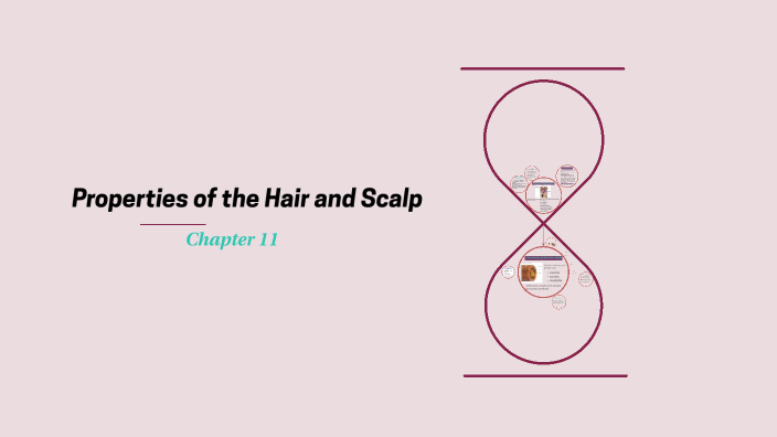 Updated Chapter 11 Properties of the hair and Scalp by Ms. Tripp604 on ...