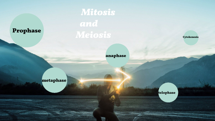 Mitosis and Meiosis Project by Elijah Cook on Prezi