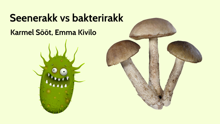 Seenerakk vs bakterirakk by mel on Prezi