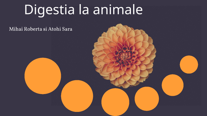 Digestia la animale by Roberta Mihai on Prezi