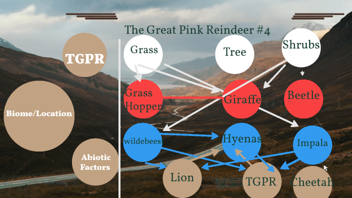 Cryptid project by Crew Winslow on Prezi