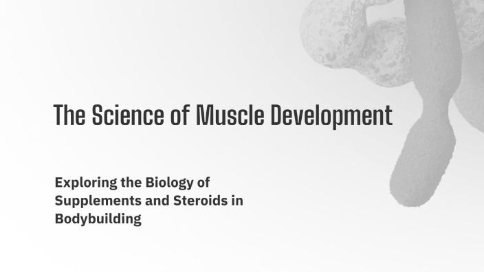 The Science of Muscle Development by Yousra Snani on Prezi