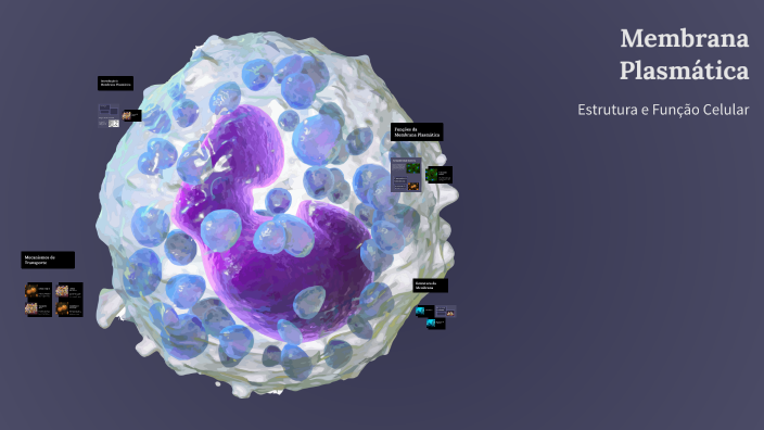 Membrana Plasmática by Jussandra Ferreira on Prezi