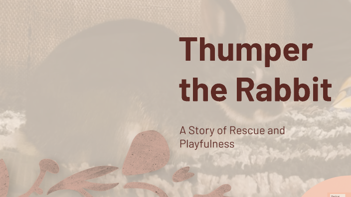 Thumper the Rabbit by taylor patterson on Prezi