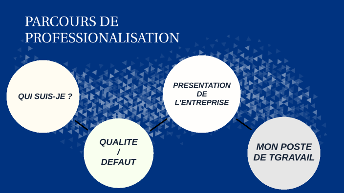 PARCOURS DE PROFESSIONALISATION by Raissa Cuffy on Prezi