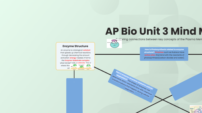 AP Bio Unit 3 Study Map by Nathan Murillo on Prezi