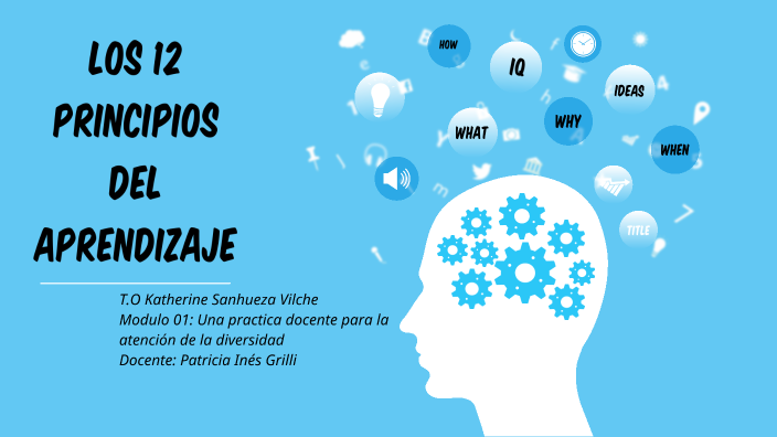 Los 12 principios del aprendizaje by Katherine Jazmin Sanhueza Vilche ...