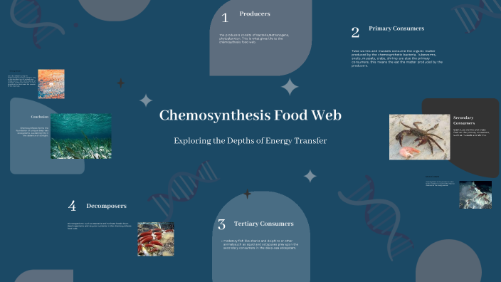 Chemosynthesis Food Web by Mia Leon on Prezi