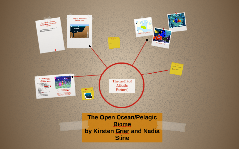 The Open Ocean/Pelagic Biome by Kirsten Grier on Prezi