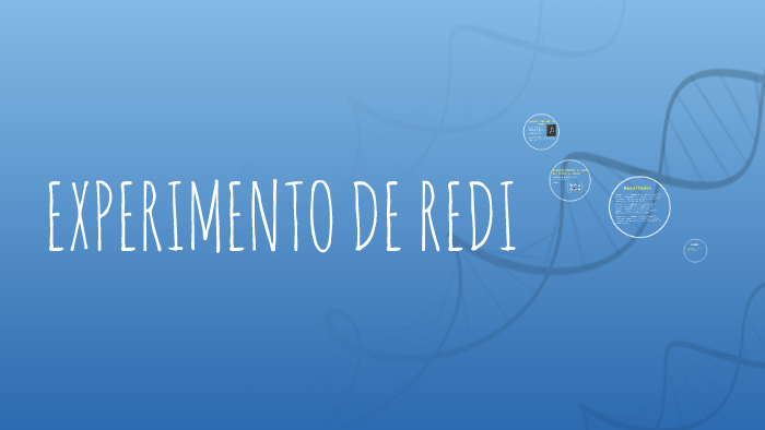 Experimento de Redi by carolina silvera on Prezi