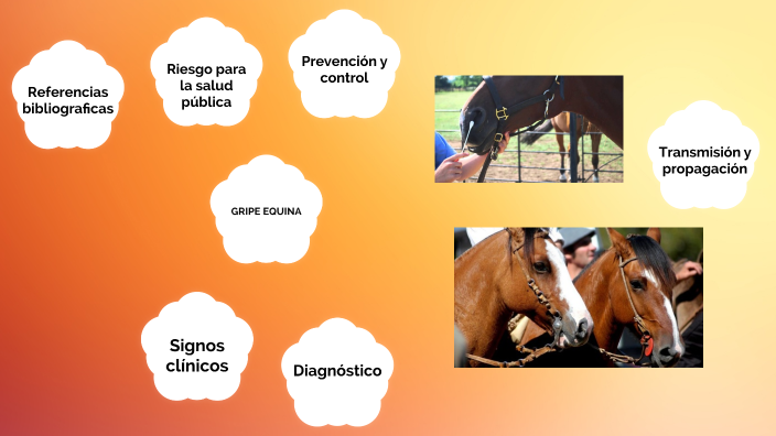 Influenza equina by Erika Cordero on Prezi