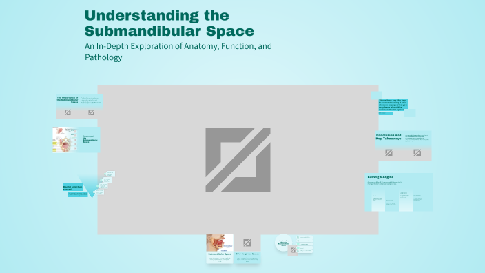 Understanding the Submandibular Space by Fatma Makki on Prezi