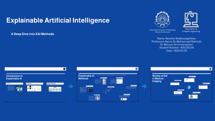Explainability and Interpretability of AI in Medical Images by Newsha ...