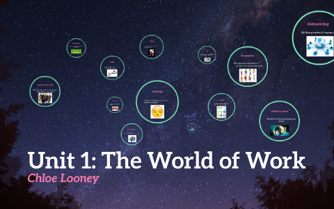 Unit 1: The World of Work by chloe looney