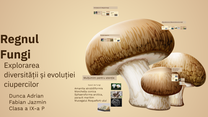 Regnul Fungi by dunca adrian on Prezi