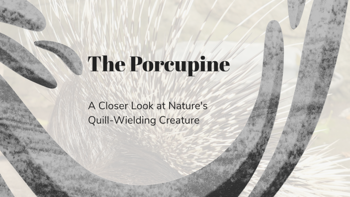 The Porcupine Defense System by Ethan Garzon Rodriguez on Prezi