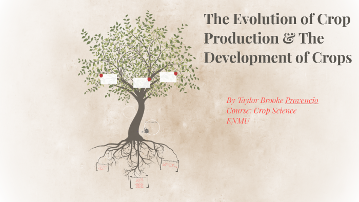 The Evolution of Crop Production & The Development of Crops by Taylor ...