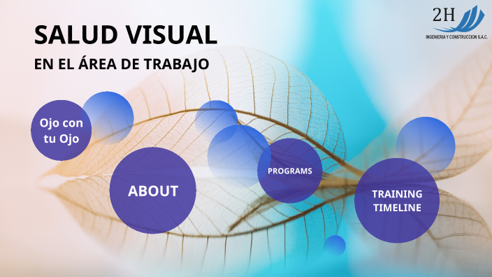 SALUD VISUAL EN EL TRABAJO by 2H 2H on Prezi