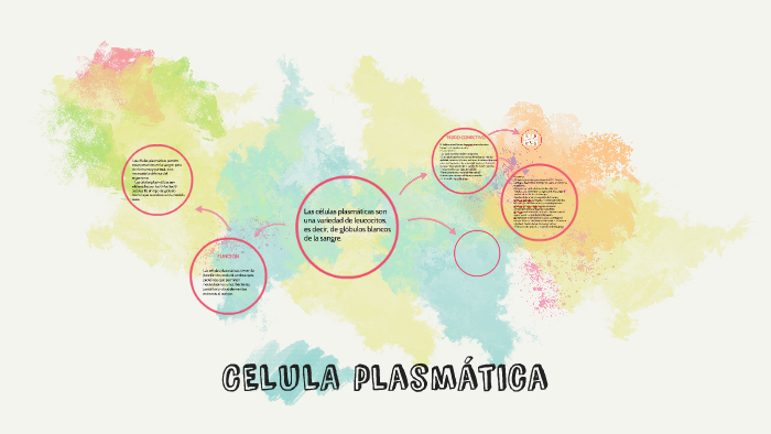 CELULA PLASMATICA by jeronimo cucha garcia on Prezi