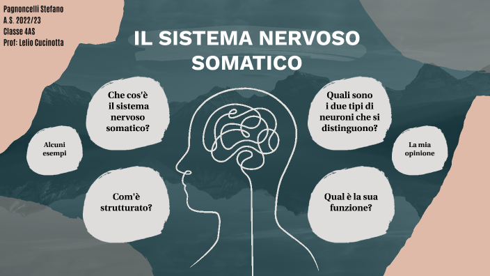 Il sistema Nervoso somatico by __PAGNOSTE__ on Prezi