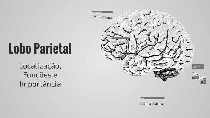 O Lobo Parietal: Estrutura e Funções by Edvaldo De Sousa Cardoso on Prezi