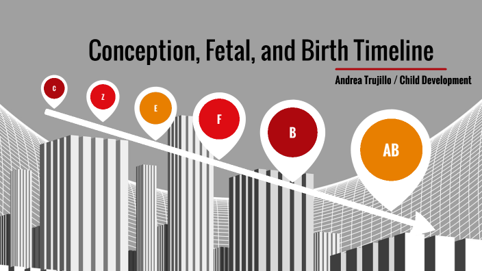 Conception, Fetal, and Birth Timeline by Andrea Trujillo on Prezi