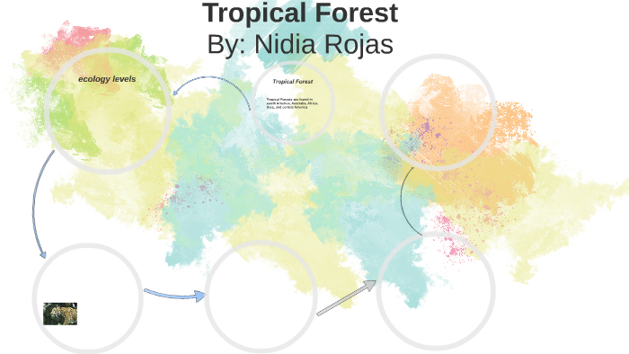Tropical Forest by Nidia Rojas on Prezi