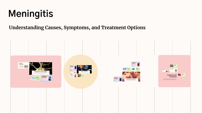 Meningitis by Ciara Gabriel on Prezi