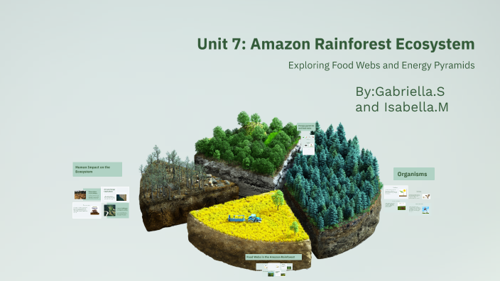 Unit 7: Amazon Rainforest Ecosystem by Gabriella Sierra on Prezi