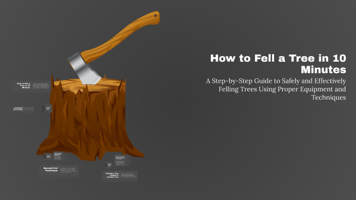 How to Fell a Tree in 10 Minutes by Jona Löffelmann on Prezi