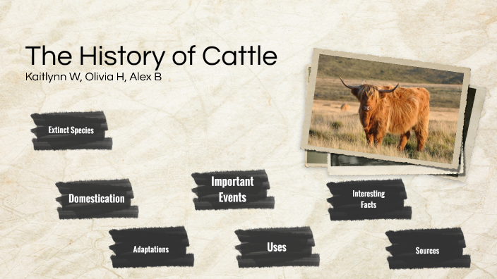 Animal Timeline Project by Kaitlynn W on Prezi