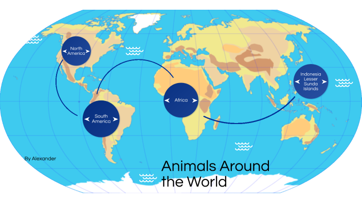 Animals Around the World by Rachael Avola on Prezi