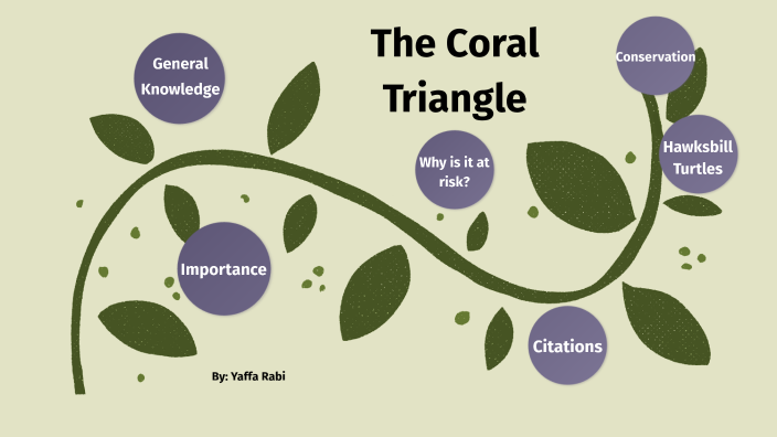The Coral Triangle by Yaffa Rabi on Prezi